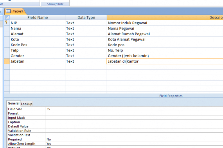 Fungsi Dan Tutorial Membuat Database Dengan Ms.Acces