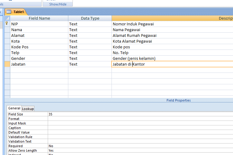 Fungsi Dan Tutorial Membuat Database Dengan Msacces 6551