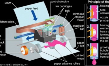Pengertian Pengenalan Jenis Jenis Printer dan Fungsinya | Pro.Co.Id