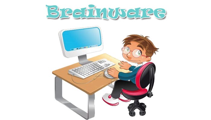 Pengertian Brainware, Klasifikasi Jenis, Tugas dan Fungsi Brainware Lengkap