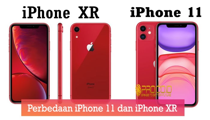 Perbedaan iPhone 11 dan iPhone XR , Perlukah Ganti Baru?